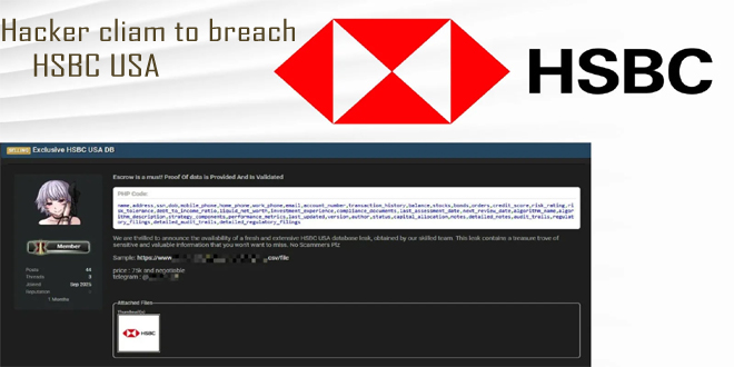 Hacker claims breach of HSBC USA: Including Financial Details ...